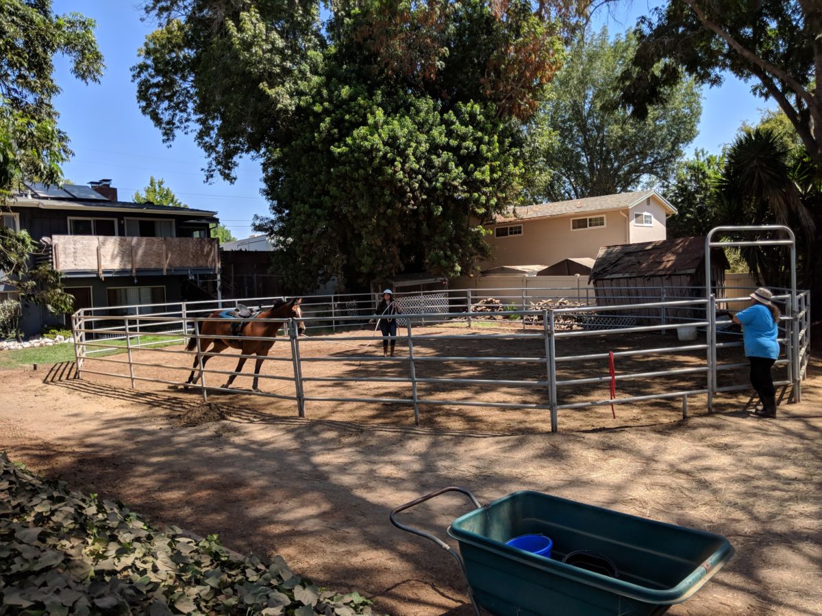 Artesian Well System for Horse Ranch - Catching H2O