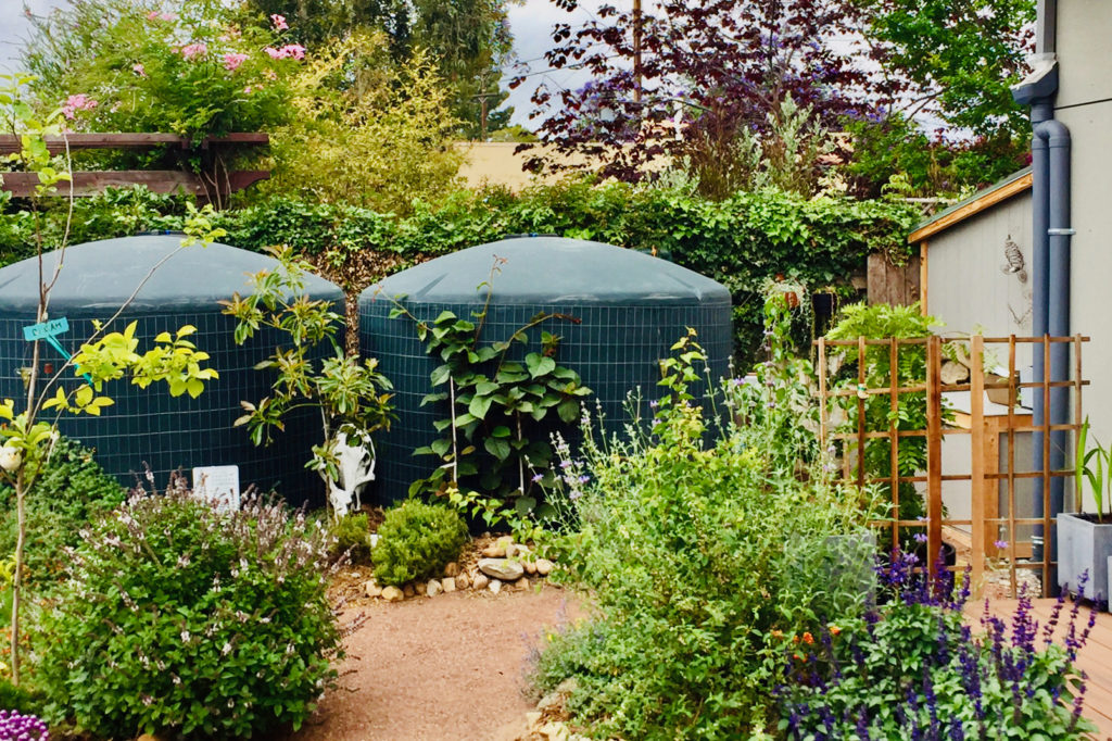 How to Install Gravity Distribution System for Rainwater Tank - A Step ...