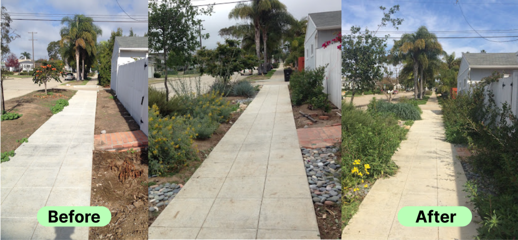 Water Harvesting and Conservation